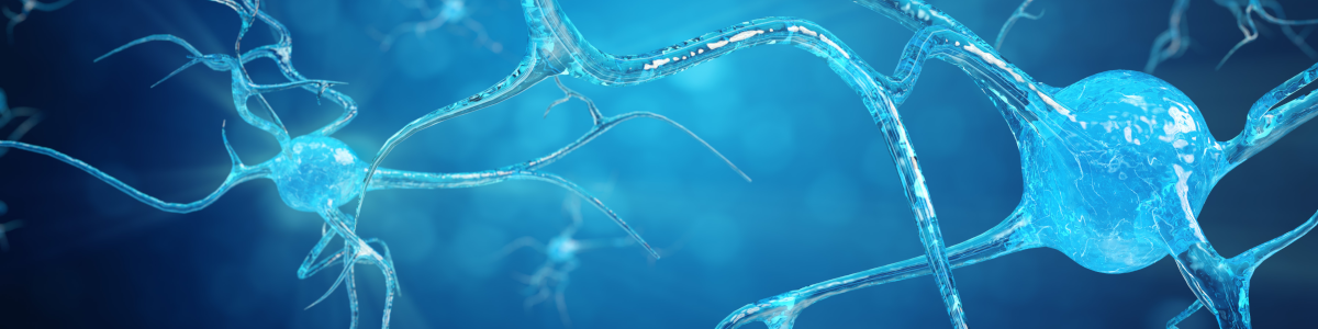 Synkope und Kollaps - Medizingerätediagnostik | DocMedicus ...