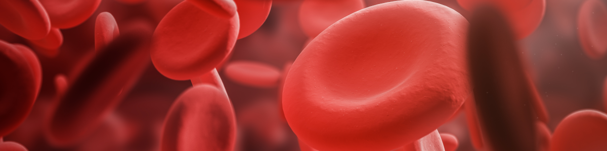 Blutbildende Organe – Immunsystem | Hämolytische Anämie | DocMedicus ...