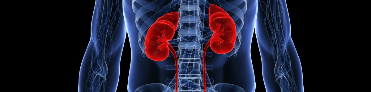 Übermäßiger Durst (Polydipsie) - Einleitung | DocMedicus Gesundheitslexikon