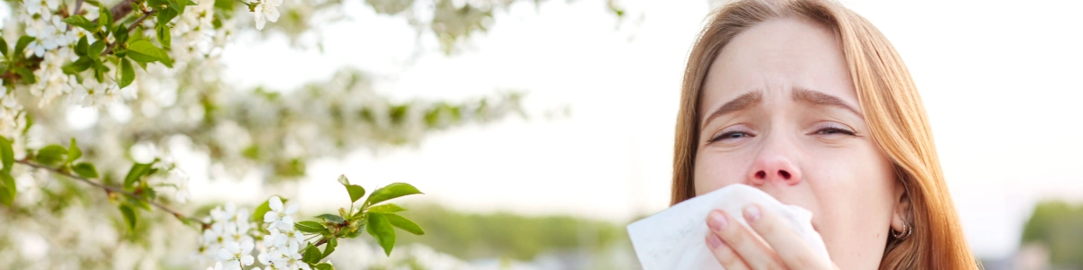 Pollenallergie - Einleitung | DocMedicus Gesundheitslexikon