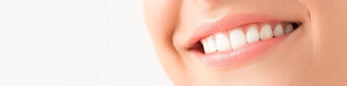 Zähne – Zahnhalteapparat | DocMedicus Gesundheitslexikon